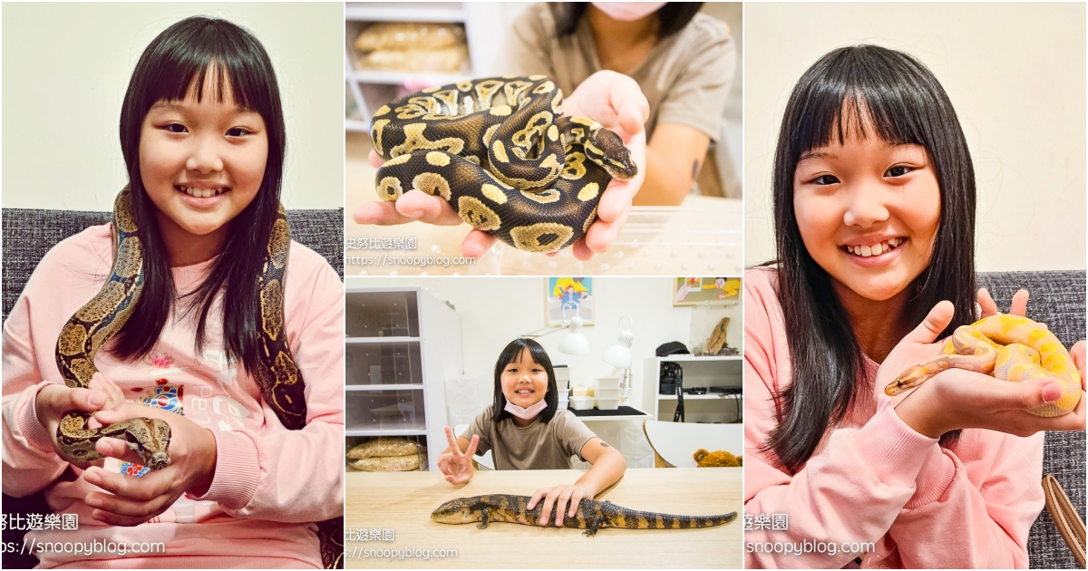 Pythonism玩蟒人生｜球蟒咖啡廳～各種球蟒、玉米蛇、爬蟲類零距離接觸，台北大橋頭捷運站另類咖啡館 @史努比遊樂園