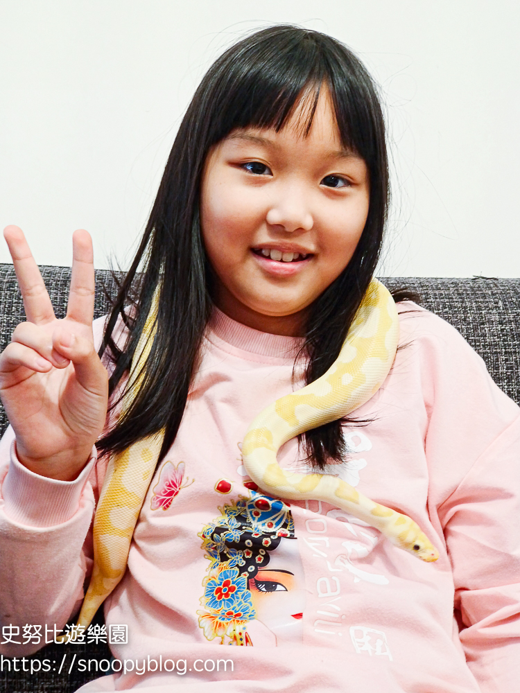 Pythonism玩蟒人生｜球蟒咖啡廳～各種球蟒、玉米蛇、爬蟲類零距離接觸，台北大橋頭捷運站另類咖啡館 @史努比遊樂園