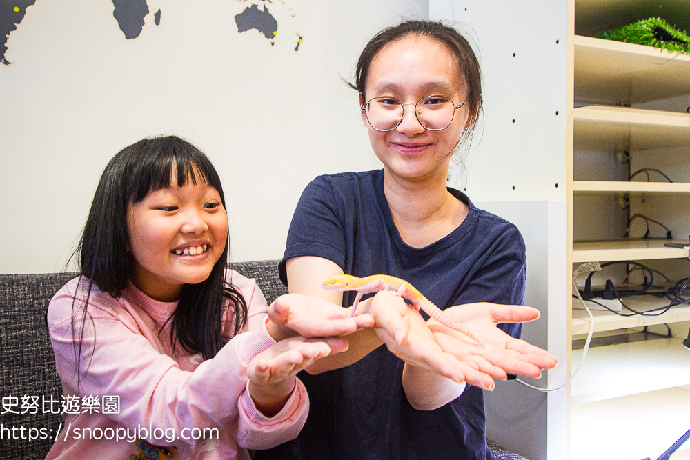 Pythonism玩蟒人生｜球蟒咖啡廳～各種球蟒、玉米蛇、爬蟲類零距離接觸，台北大橋頭捷運站另類咖啡館 @史努比遊樂園